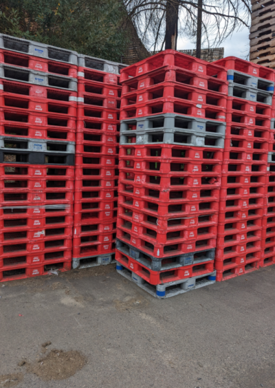 Used Plastic Pallets - Shop Affordable Plastic Pallets